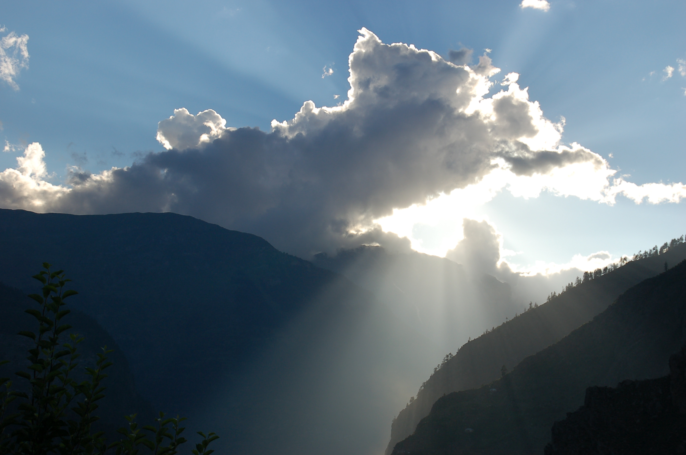 Osho Yoga and the Discipline of Transformation: A Course in Witnessing ...